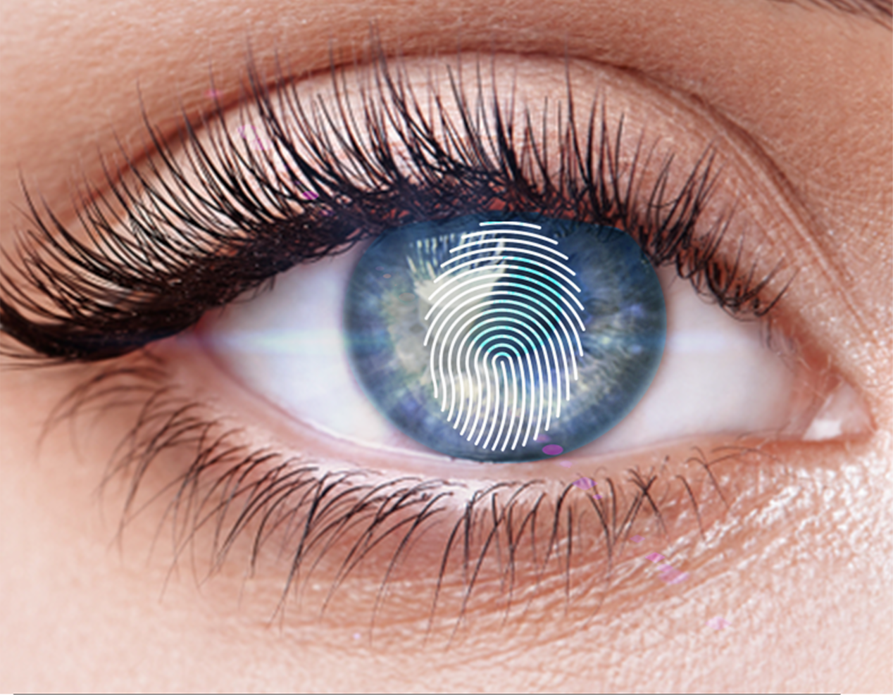 Visual Aids Centre | Boutique Eye Care